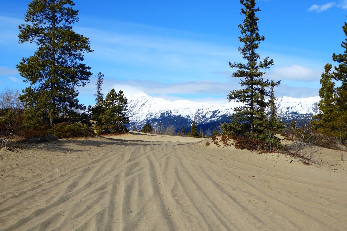 Les 10 lieux incontournables du Yukon - Le blog de Terra Canada